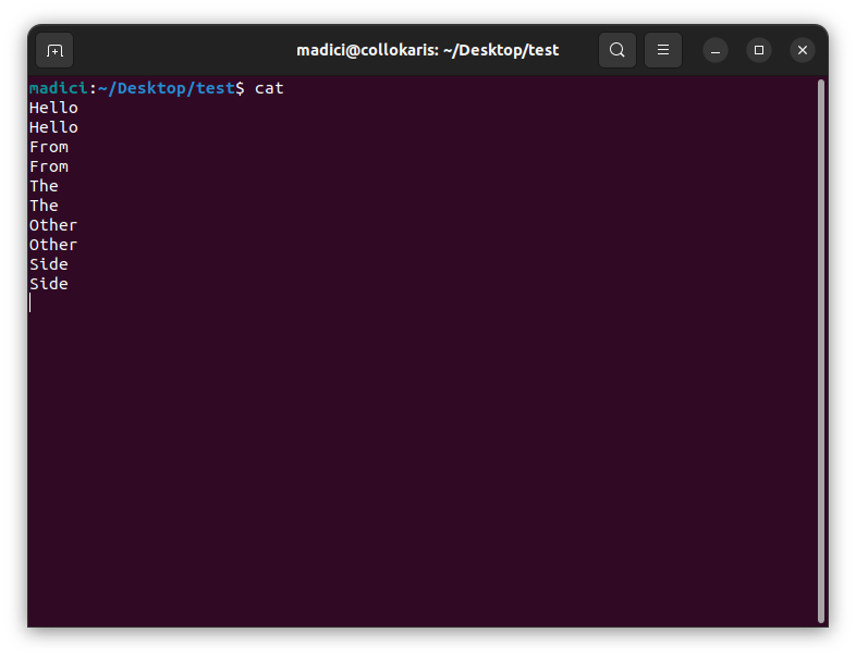 Cómo utilizar los comandos Cat de Linux (con ejemplos)
