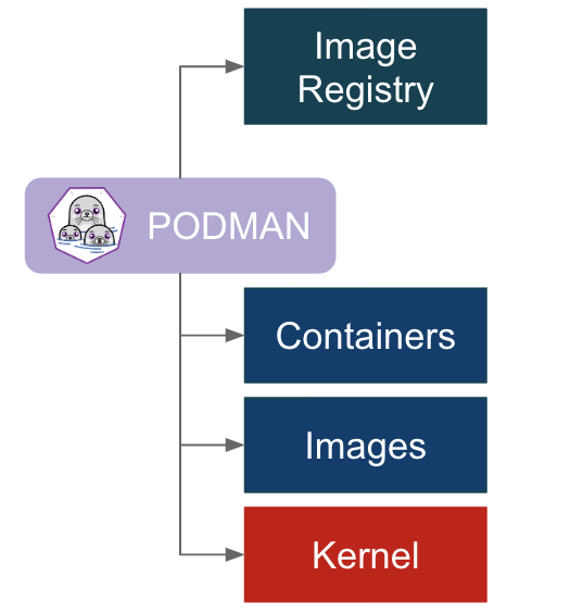 Podman vs Docker : Lequel choisir