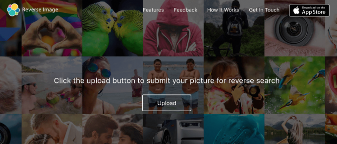 8 Best Reverse Image Search Tools You Should Know in 2025