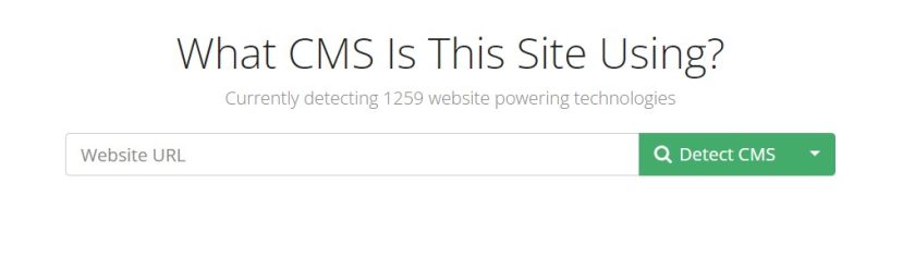 5 Best CMS Detectors You Should Know About