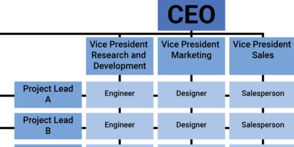 Organizational Chart Maker to Define Team Hierarchy