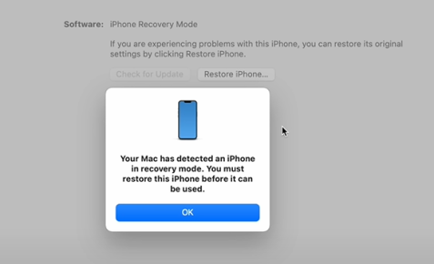 How to Put Your iPhone in Device Firmware Update (DFU) Mode