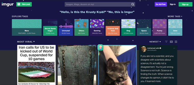 Los 8 mejores sitios web de GIF que siguen siendo relevantes en 2023 ...