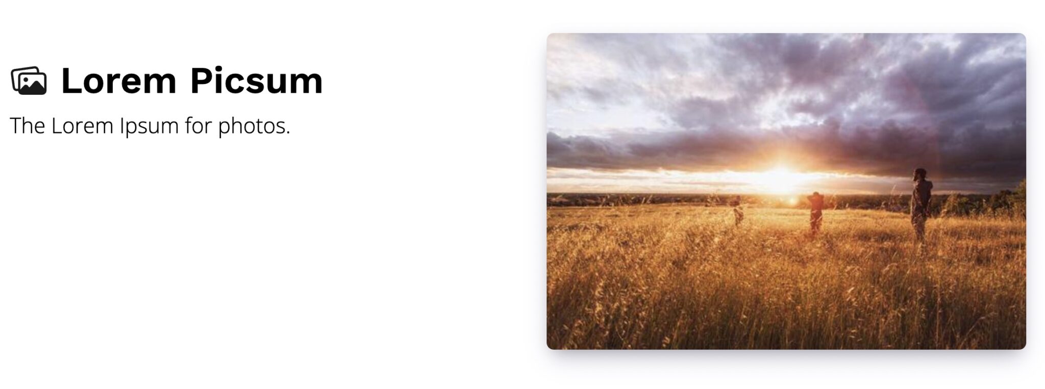 8 Placeholder Image Generator to Insert Picture During Mockup