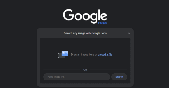 9 Top Facial Recognition Search Engines To Search By Face In 2024