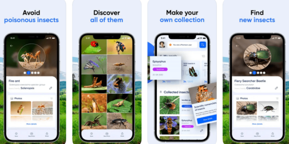 13 Top Bug Identifier Apps to Explore the World of Insects