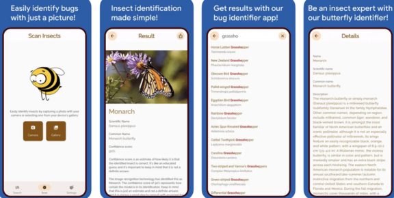 13 Top Bug Identifier Apps to Explore the World of Insects