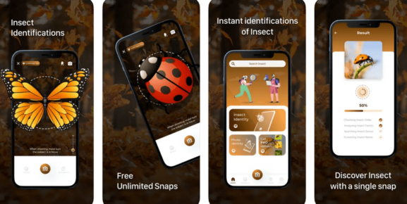 13 Top Bug Identifier Apps to Explore the World of Insects