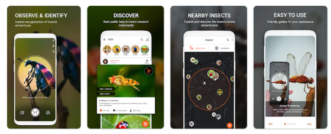 13 Top Bug Identifier Apps to Explore the World of Insects