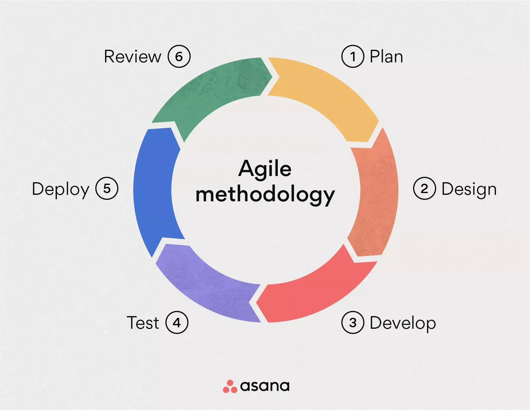 Project Management Life Cycle: Key Phases and Best Practices