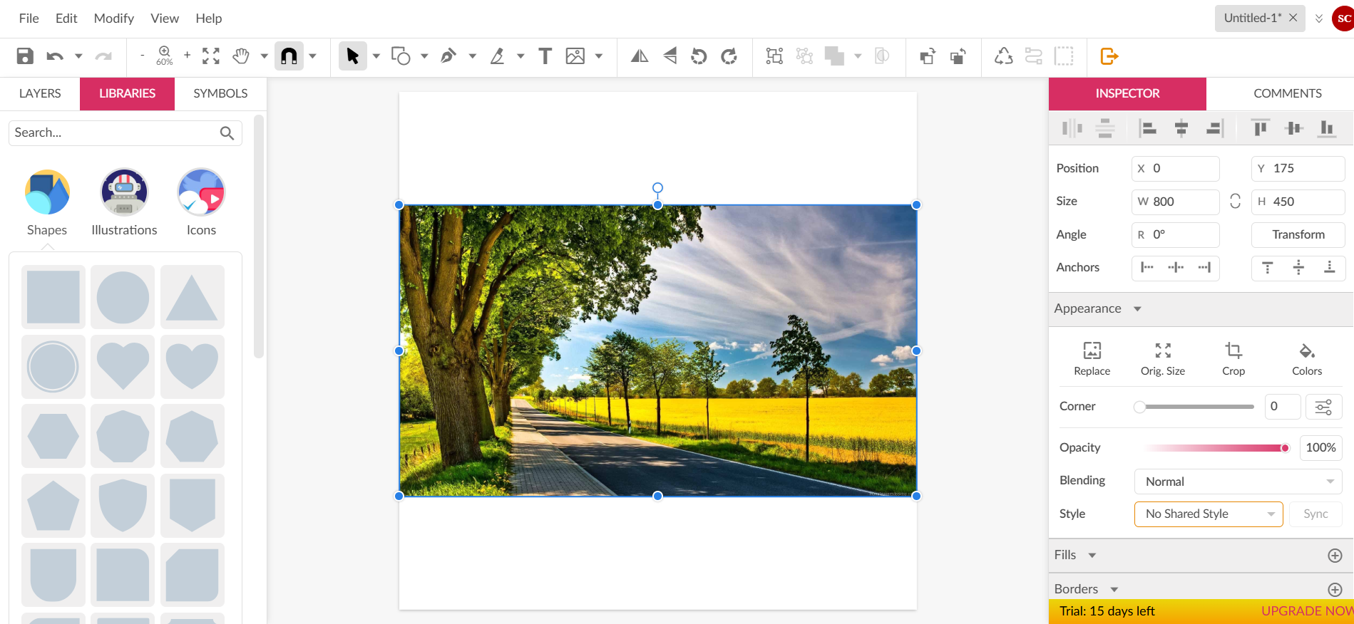 14 Best Adobe Illustrator Alternatives to Try in 2025